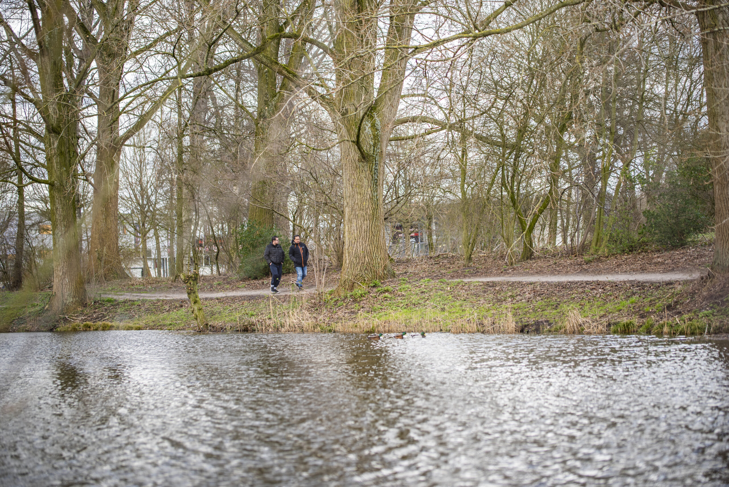 Informatie client - Asin Coaching